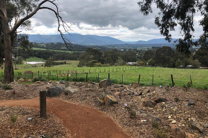 Yarra Valley Wine Tour inc lunch with a glass of wine, tastings and chocolate - FAQs