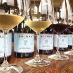 Yarra Valley Winery Half-Day Tour from Melbourne  Afternoon - In-Depth Look at the Itinerary