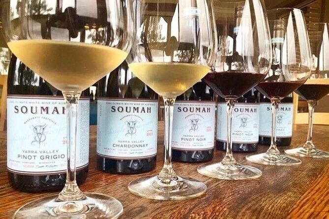 Yarra Valley Winery Half-Day Tour from Melbourne  Afternoon - In-Depth Look at the Itinerary