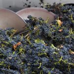 Yarra Valley: Winery Tour with Lunch at Yering Station - The Boutique and Family-Run Wineries