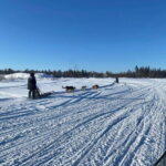 Yellowknife: Dog Sledding Tour - The Actual Sled Ride: What to Expect