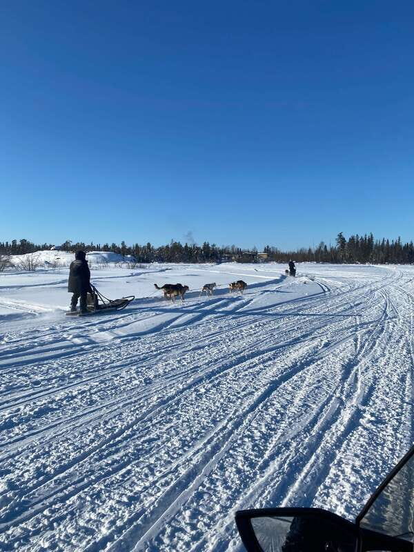 Yellowknife: Dog Sledding Tour - The Actual Sled Ride: What to Expect