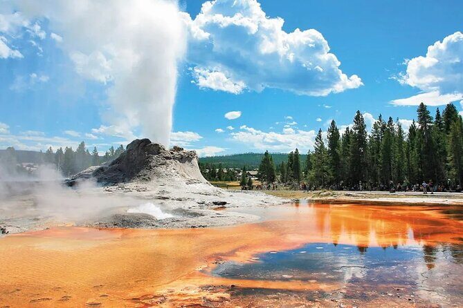 Yellowstone Grand Teton and Coeur dAlene 5-Day Tour from Seattle - Exploring Yellowstone: A Must-See Natural Wonder