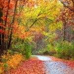 Yellowstone, Grand Teton, and Hot Springs: Small Group 5-Day Tour - Authentic Insights from Travelers