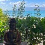 Yoga at sunrise at Sofitel Moorea, overlooking Tahiti - Authentic Insights from Past Participants