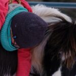 Yoga with Horses - Analysis of Value and Price