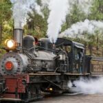 Yosemite Mountain Sugar Pine Railroad Ride with Narration - Assessing the Value: Is It Worth It?