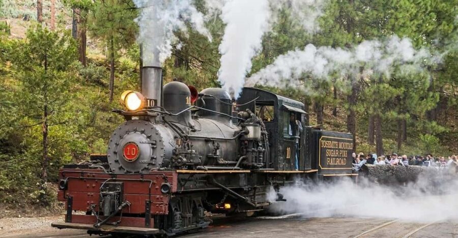 Yosemite Mountain Sugar Pine Railroad Ride with Narration - Assessing the Value: Is It Worth It?