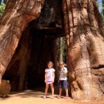 Yosemite Private Tour from San Francisco - The Sum Up