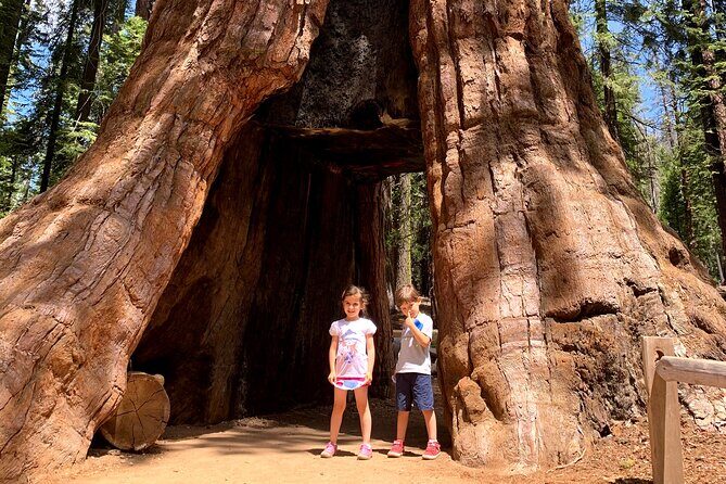 Yosemite Private Tour from San Francisco - The Sum Up