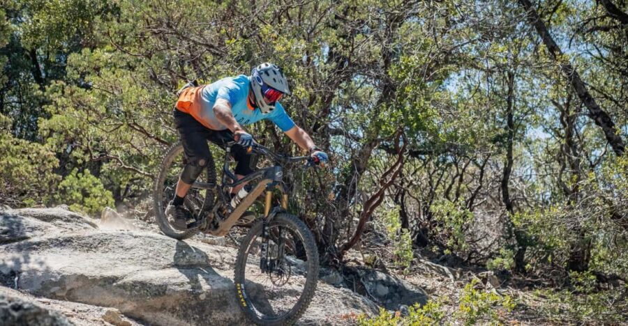 Yosemite Valley Area: Standard Bike Rental - The Yosemite Valley Loop Trail: What You Can Expect