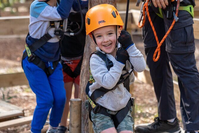 Your Little Ones Can Soar Through the Pines of Kuitpo Forest - The Setting and Practicalities