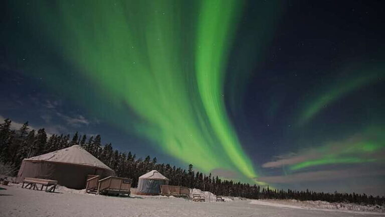 Yukon: Aurora Borealis Late Night Viewing Tour - Detailed Tour Breakdown