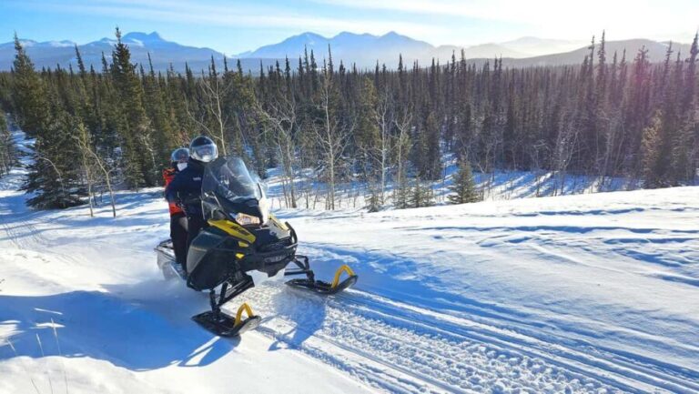 Yukon: Half-Day Snowmobile Tour - Why You Should Consider This Tour