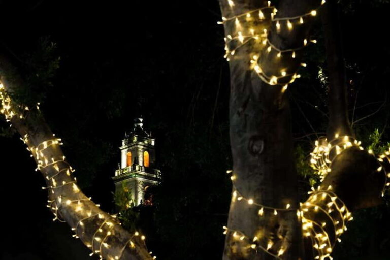 Yuletide in Mérida: A Private Tour Through Holiday Splendor - Itinerary Breakdown