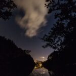 Zealandia by Night Tour - The Experience: What Travelers Say