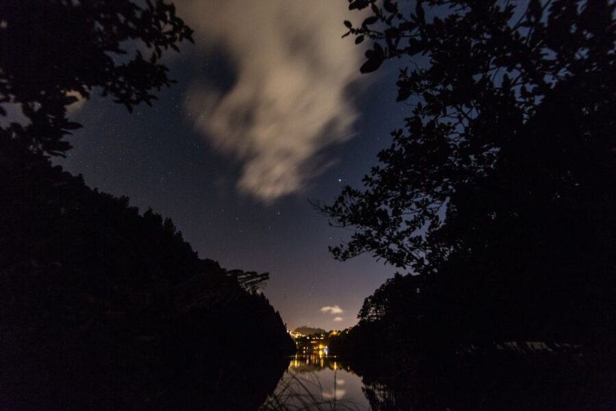 Zealandia by Night Tour - The Experience: What Travelers Say