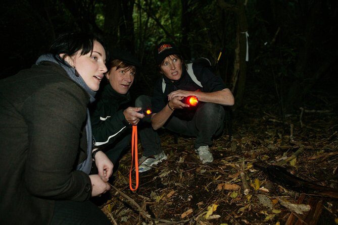 Zealandia Small Group Eco Wildlife Night Tour - Frequently Asked Questions