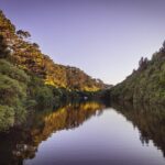 Zealandia - Twilight Guided Eco Wildlife Tour - Why the Zealandia Twilight Tour Offers Great Value