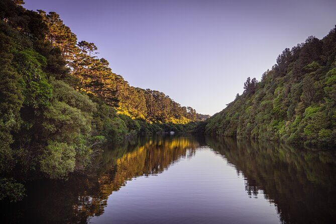 Zealandia - Twilight Guided Eco Wildlife Tour - Why the Zealandia Twilight Tour Offers Great Value