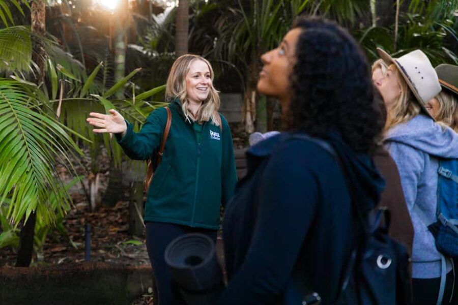 Zen In The Zoo - An In-Depth Look at Zen In The Zoo