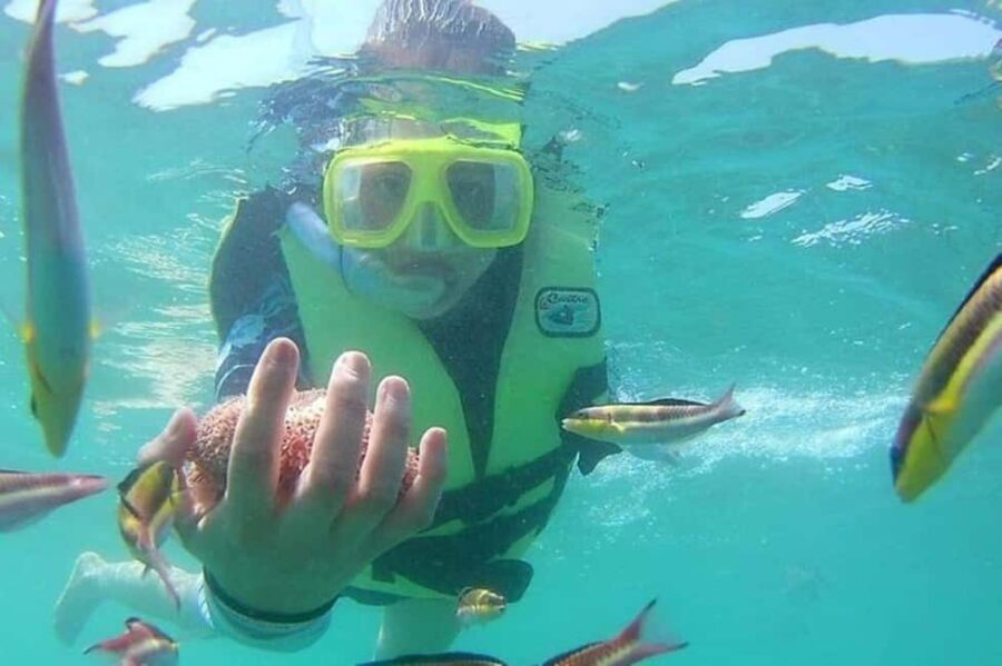 Zihuatanejo: Las Gatas Beach Snorkeling and Kayaking Tour - An In-Depth Look at the Experience