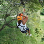 Zip-line outdoor adventure the ultimate experience - The Experience Breakdown