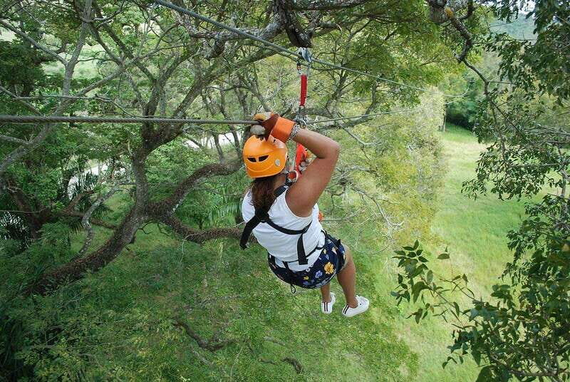 Zip-line outdoor adventure the ultimate experience - The Experience Breakdown