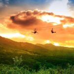 Zip Zoom Ziplines at La Jolla Indian Adventure Park - Practical Tips for Participants