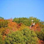 Ziplines over Laurentian Mountains at Mont-Catherine - The Bottom Line: Is It Worth It?