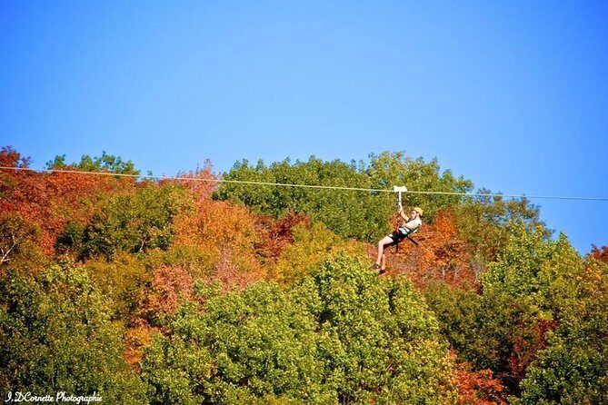 Ziplines over Laurentian Mountains at Mont-Catherine - The Bottom Line: Is It Worth It?