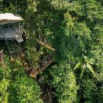 Ziplining Cape Tribulation with Treetops Adventures - The Experience: From Ground to Canopy