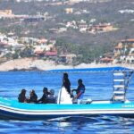 Zodiac Whale Watching Adventure - Incl FREE photos - What to Expect & Practical Details