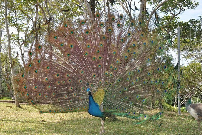 Zoological and Forestry Park Admission Ticket - What Travelers Say: Real Perspectives