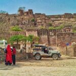03 Days Private Ranthambore Wildlife Safari Tour From Delhi - The Value of This Tour