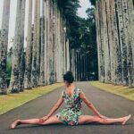 05 Days Glimpse Of Sri Lanka - Who Is This Tour Best For?