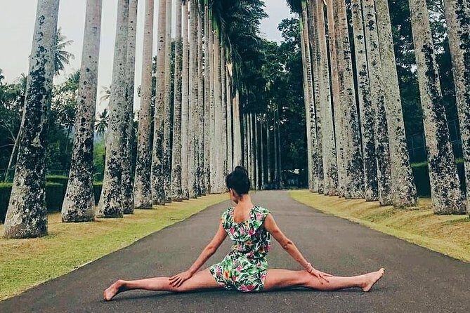 05 Days Glimpse Of Sri Lanka - Who Is This Tour Best For?