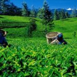 07 Days Amazing Experience - In-Depth Tour Breakdown