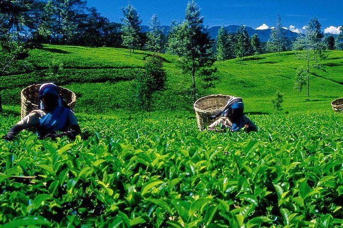 07 Days Amazing Experience - In-Depth Tour Breakdown