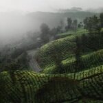 07 Days Sri Lanka Tour - Splendid Ceylon - What Travelers Are Saying & Additional Insights