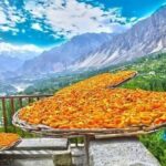 08 Days Autumn Trip to North Pakistan (08D 07N) - Key Points