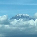 1 Day Charter Tour to Mt Fuji View - Who Should Take This Tour?