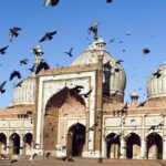 1 Day Delhi and 1 Day Agra Tour From Delhi with Taj Mahal Sunrise - With Hotels - Guides: The Heart of the Experience