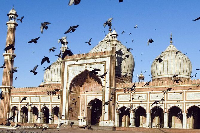 1 Day Delhi and 1 Day Agra Tour From Delhi with Taj Mahal Sunrise - With Hotels - Guides: The Heart of the Experience
