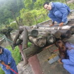 1-Day Dujiangyan Self-Guided Tour: Panda Volunteer and Water Irrigation System - Pricing and Value