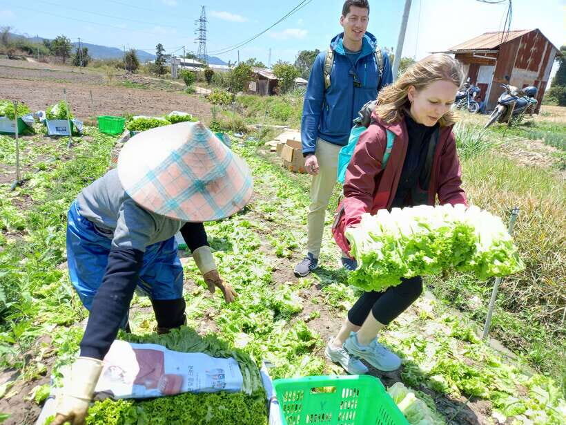 1 Day Easy Rider Tour in DalatVillages, Farms & Waterfalls - Practicalities & Value