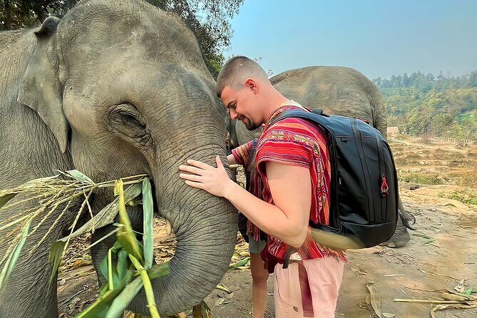 1 Day Eco Elephant Excursion - Authenticity and Recap from Reviews