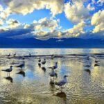 1-Day Erhai Sightseeing in Dali - Key Points