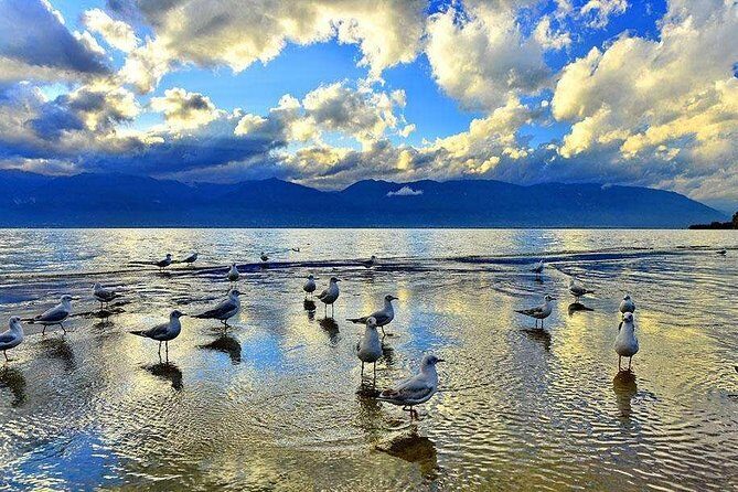 1-Day Erhai Sightseeing in Dali - Key Points