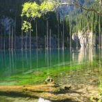 1 Day Express Tour: Charyn Canyon, Kaindy & Kolsay Lakes - A Detailed Look at the Experience